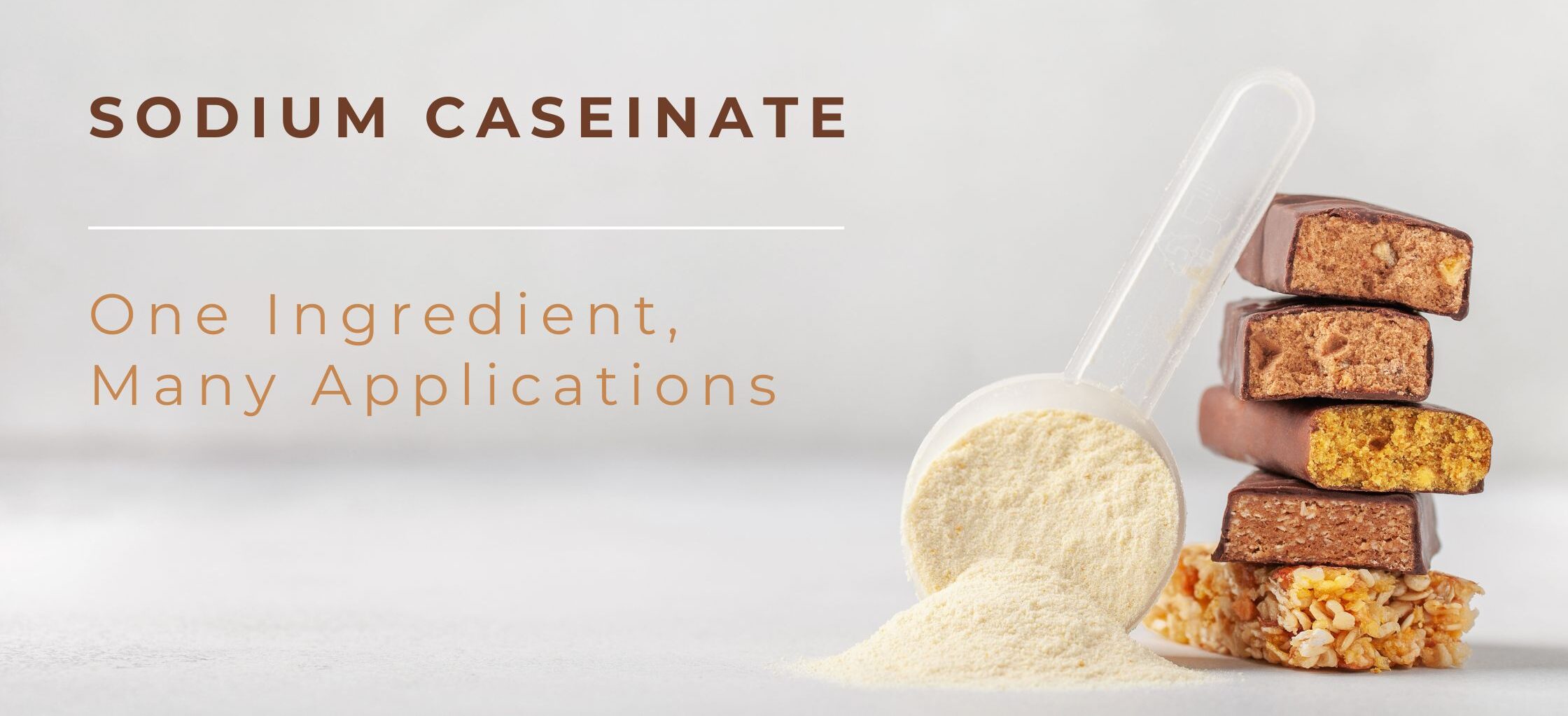 Sodium Caseinate One Ingredient Many Applications Bragan Ingredients Sodium Caseinate One Ingredient Many Applications Bragan Ingredients